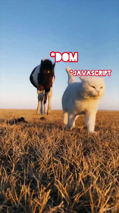 Justin Varghese๐ on LinkedIn: #react #javascript #javascriptdeveloper # ... Justin Varghese๐ on LinkedIn: #react #javascript #javascriptdeveloper # ...