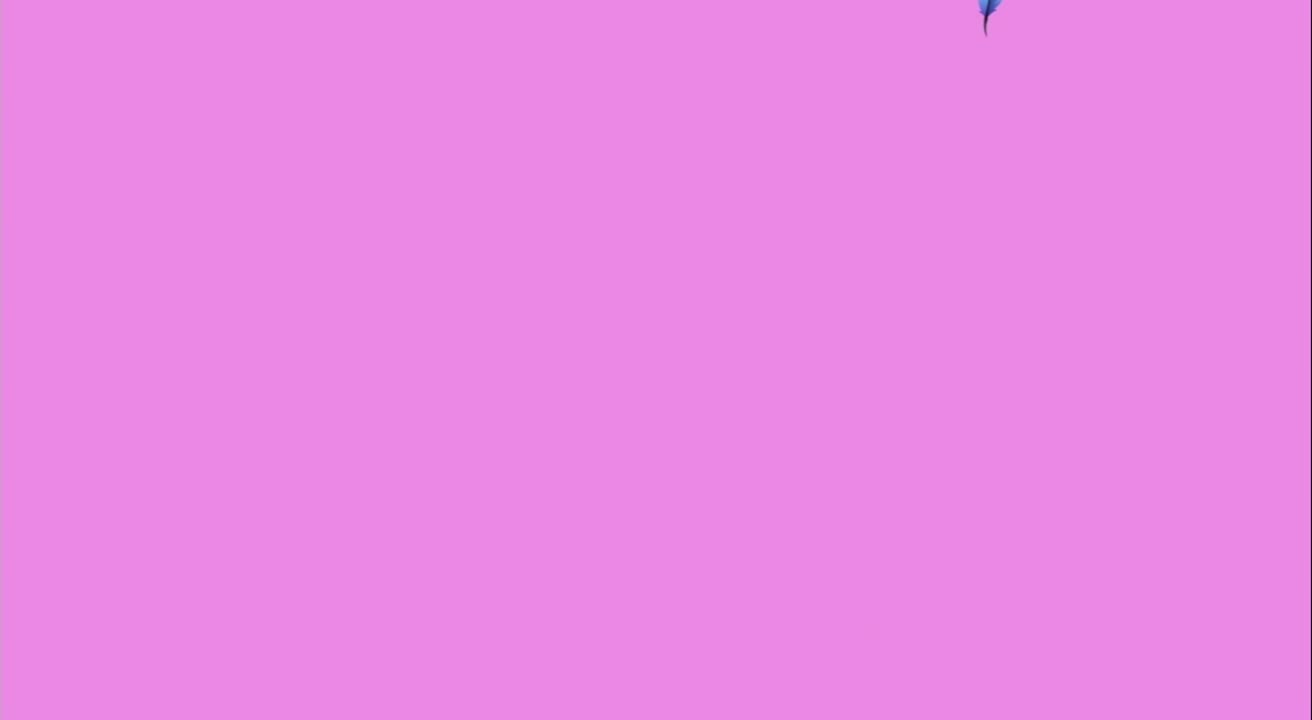 shubham Sharma on LinkedIn: logo Animation shubham Sharma on LinkedIn: logo Animation