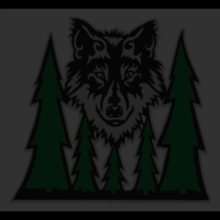 Timberwolf Environmental Services Ltd. on LinkedIn: Containments ... Timberwolf Environmental Services Ltd. on LinkedIn: Containments ...