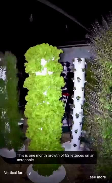 Sujit Kumar Parida on LinkedIn: Vertical farming is a method of growing ... Sujit Kumar Parida on LinkedIn: Vertical farming is a method of growing ...