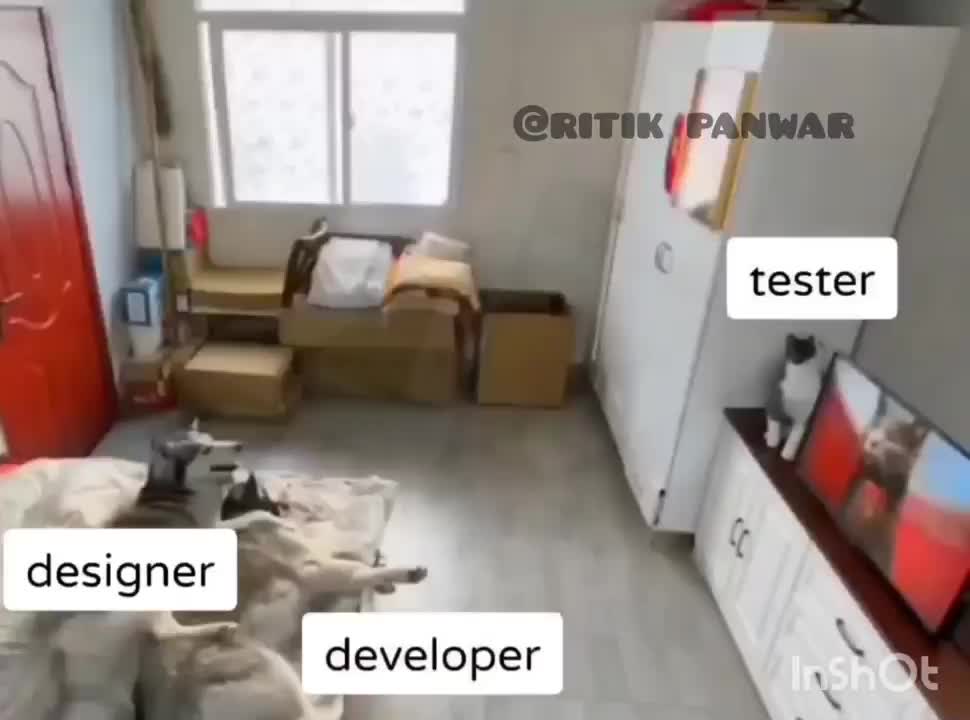 Delwer Hossain on LinkedIn: Tester > Developer 🙂 Delwer Hossain on LinkedIn: Tester > Developer 🙂