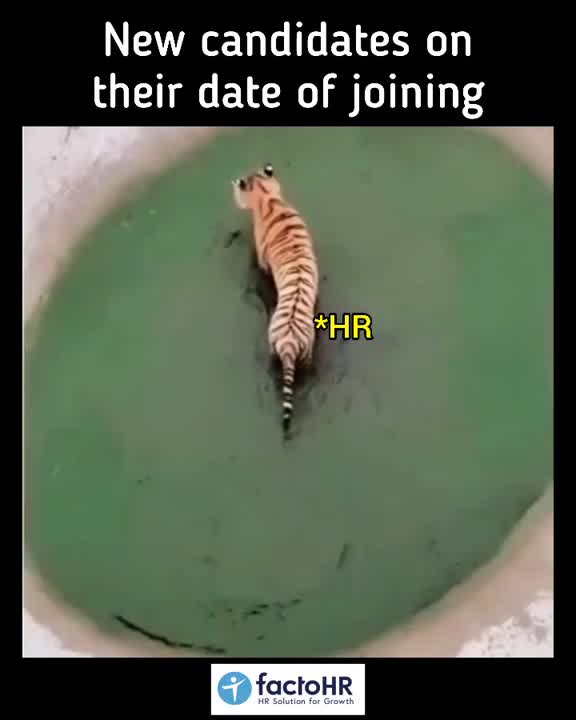 Muhammad Uzair Latif on LinkedIn: 🤣 Muhammad Uzair Latif on LinkedIn: 🤣