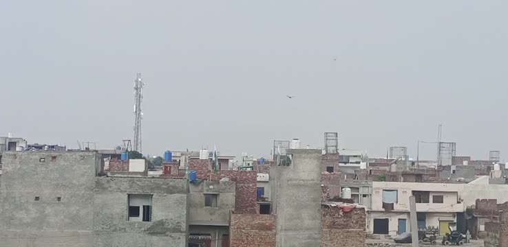 Madiha Rana on LinkedIn: Good morning Hello everyone, today is Sunday ... Madiha Rana on LinkedIn: Good morning Hello everyone, today is Sunday ...