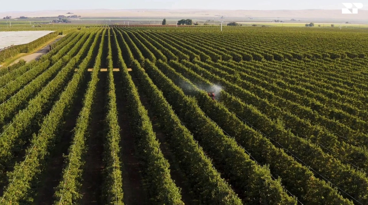 #roboticsplus #prospr #innovation #agtech #robotics | Robotics Plus #roboticsplus #prospr #innovation #agtech #robotics | Robotics Plus