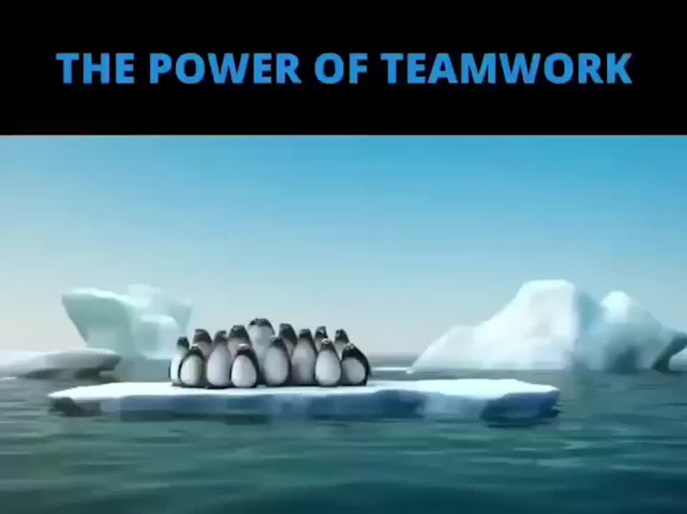 Coach Sushil Arora on LinkedIn: #teambuilding #leadership #success # ... Coach Sushil Arora on LinkedIn: #teambuilding #leadership #success # ...