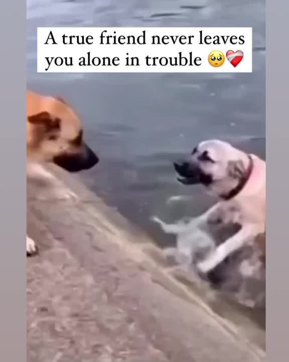 Jerin Hossain on LinkedIn: #leadership #kindness #motivation # ... Jerin Hossain on LinkedIn: #leadership #kindness #motivation # ...