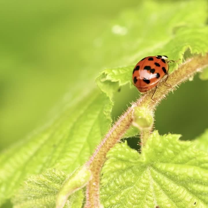 Randy Diplock on LinkedIn: #corporatevideo #corporatecommunications # ... Randy Diplock on LinkedIn: #corporatevideo #corporatecommunications # ...