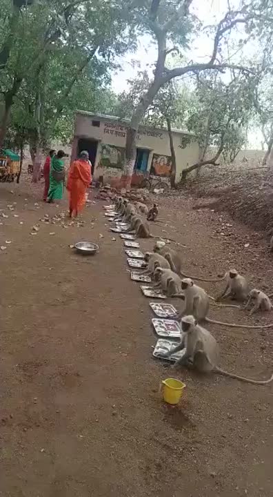 SUNJOY GUPTA on LinkedIn: #respect SUNJOY GUPTA on LinkedIn: #respect