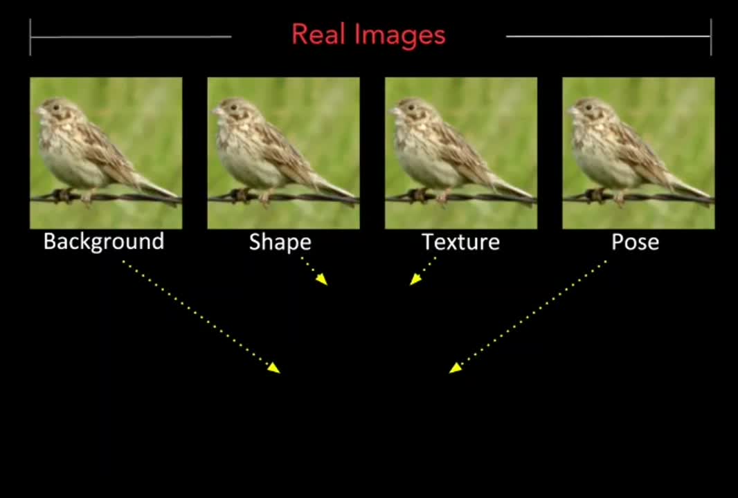 Aftab Hussain on LinkedIn: #genrativeai #python #pythonprogramming # ... Aftab Hussain on LinkedIn: #genrativeai #python #pythonprogramming # ...