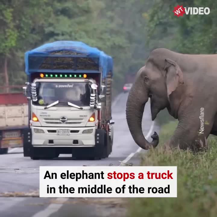 Pravara KV on LinkedIn: #wildlife #ecosystem #sharing #food Pravara KV on LinkedIn: #wildlife #ecosystem #sharing #food