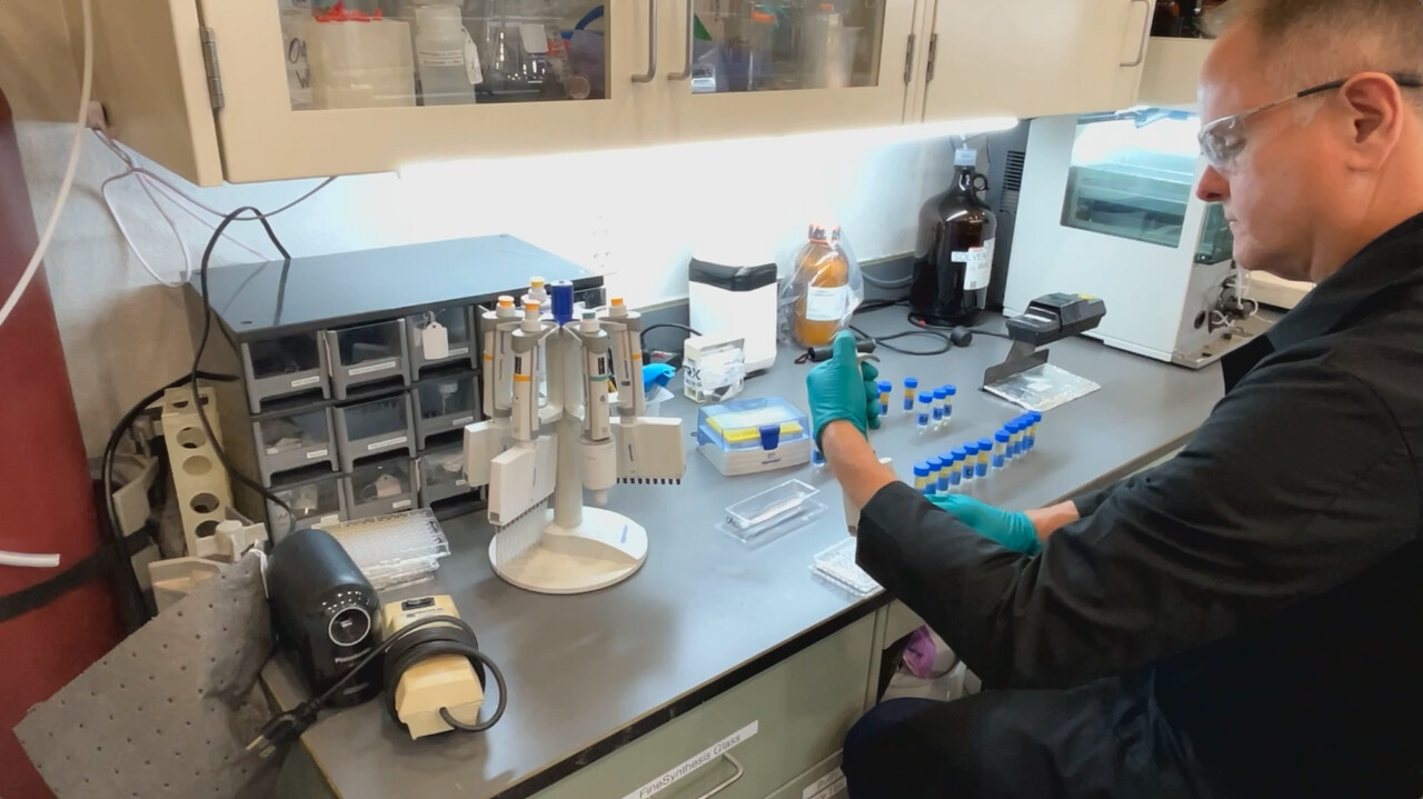 Sparx Engineering on LinkedIn: #chemistry #chemicalengineering Sparx Engineering on LinkedIn: #chemistry #chemicalengineering