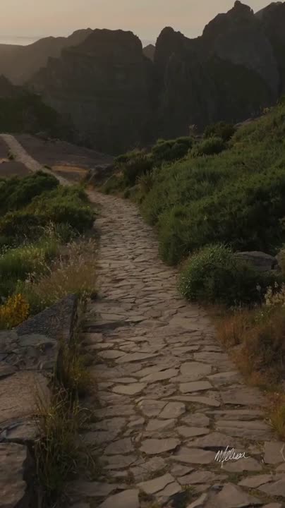 Melissa Hurrington on LinkedIn: YOU ARE READY Melissa Hurrington on LinkedIn: YOU ARE READY