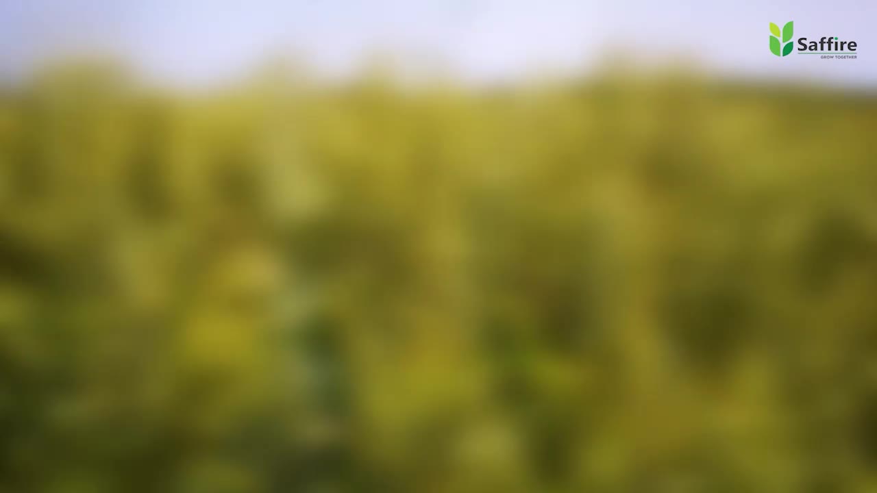 Harsh Vardhan Chauhan on LinkedIn: #union #herbicide #newlyregistered # ... Harsh Vardhan Chauhan on LinkedIn: #union #herbicide #newlyregistered # ...