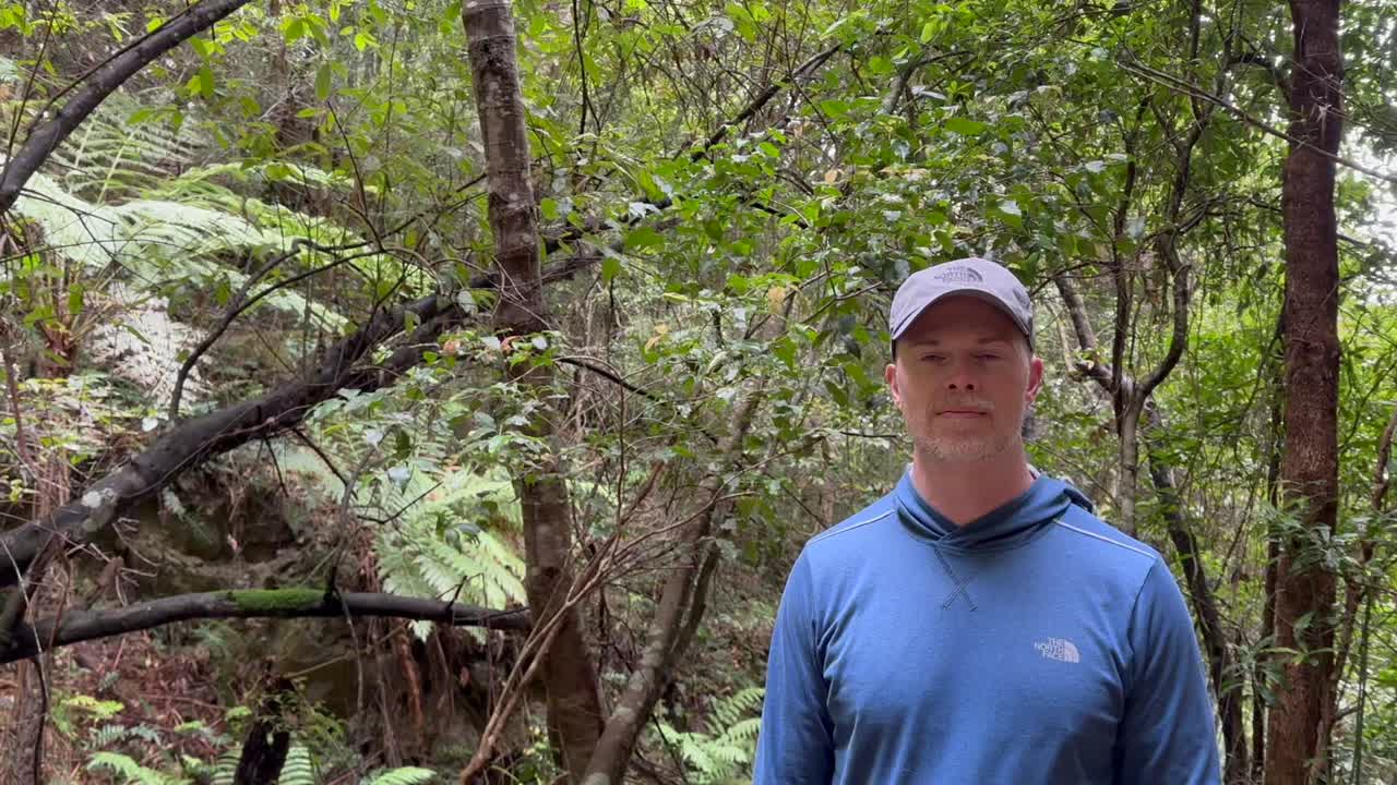 Simon Mac Donald on LinkedIn: #webcomponents #webdev Simon Mac Donald on LinkedIn: #webcomponents #webdev