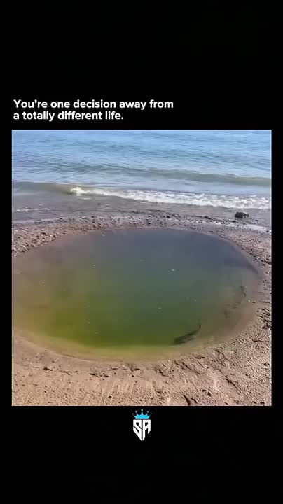 Challenge yourself to swim in unfamiliar waters | Siddhant Jain Jaiswal ... Challenge yourself to swim in unfamiliar waters | Siddhant Jain Jaiswal ...