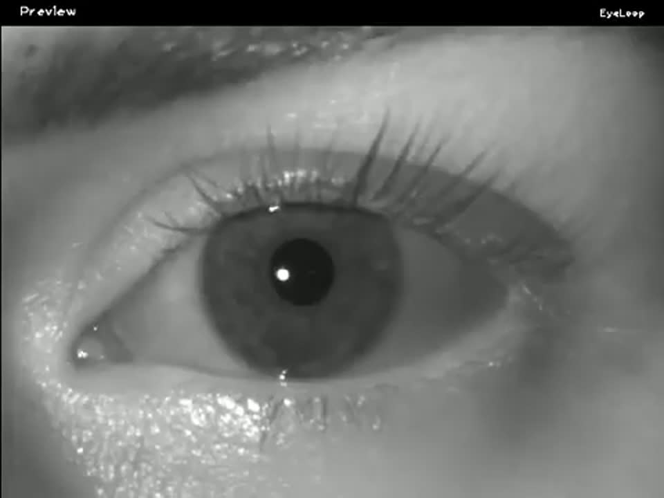 Daniel Lim-Apo on LinkedIn: Eye tracking with python and the github ... Daniel Lim-Apo on LinkedIn: Eye tracking with python and the github ...
