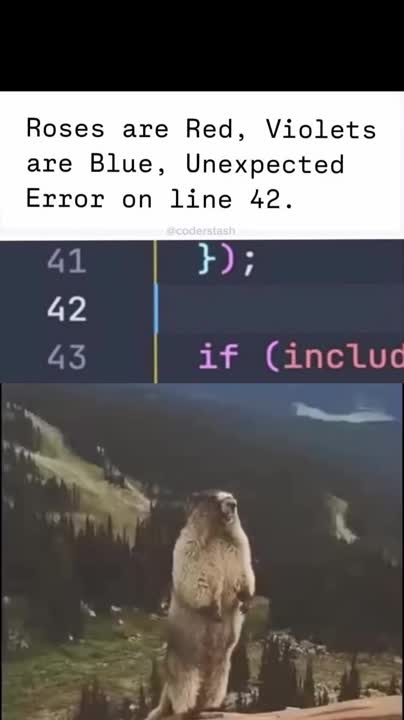 #programmerhumor #programmer #programmerlife #programming… | Talha Shaikh #programmerhumor #programmer #programmerlife #programming… | Talha Shaikh