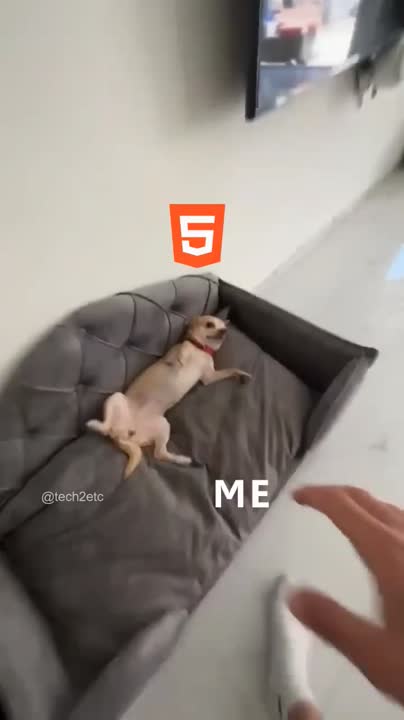 Asif Ali on LinkedIn: #codingmemes #memes #developers Asif Ali on LinkedIn: #codingmemes #memes #developers
