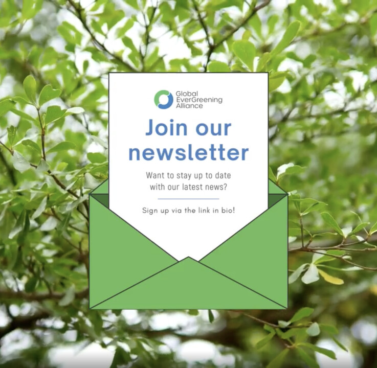 Global EverGreening Alliance on LinkedIn: #greenuptocooldown # ... Global EverGreening Alliance on LinkedIn: #greenuptocooldown # ...