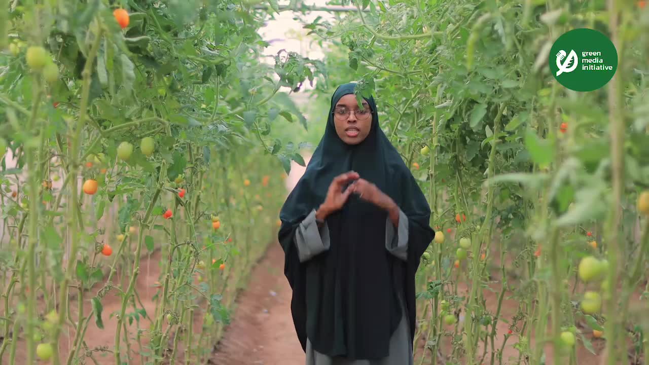 Hamdi Mohamed Hassan on LinkedIn: Dabaal dag wanagsan 👨🌾 ️ Hamdi Mohamed Hassan on LinkedIn: Dabaal dag wanagsan 👨🌾 ️