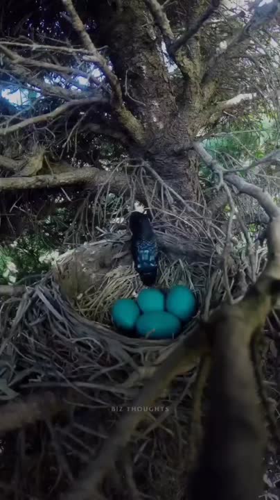 syeda aqsa javed on LinkedIn: #naturegenius #wildlifeinnovation # ... syeda aqsa javed on LinkedIn: #naturegenius #wildlifeinnovation # ...