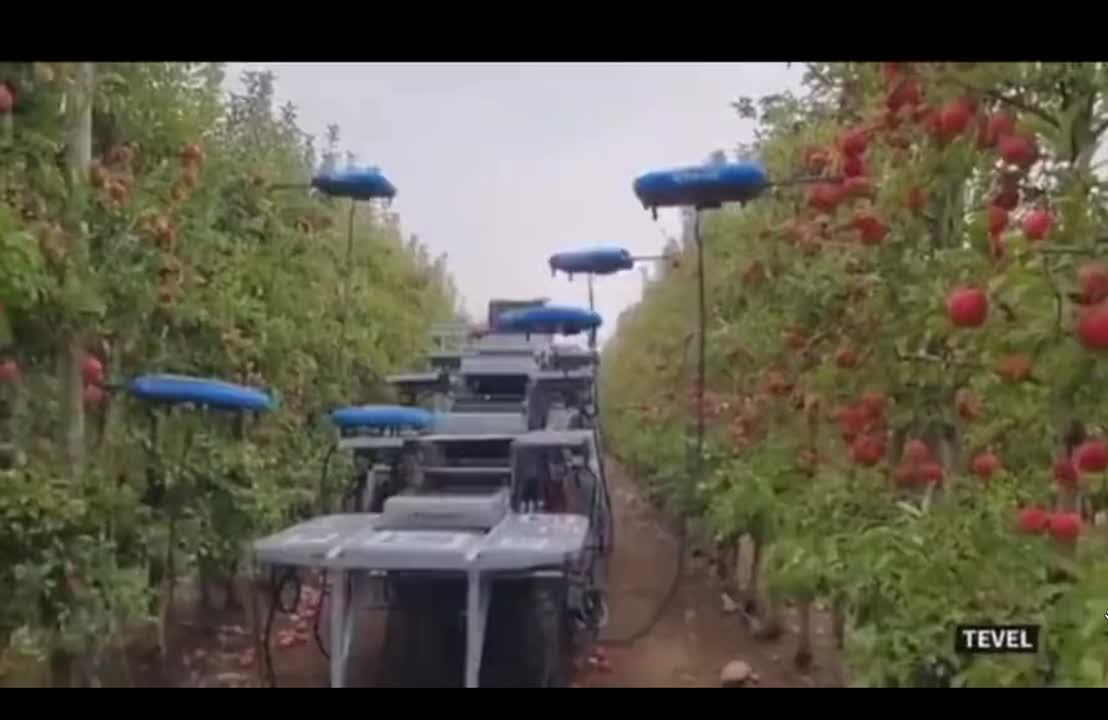 Lawrence Mansour on LinkedIn: #ai #agriculture #robotics Lawrence Mansour on LinkedIn: #ai #agriculture #robotics