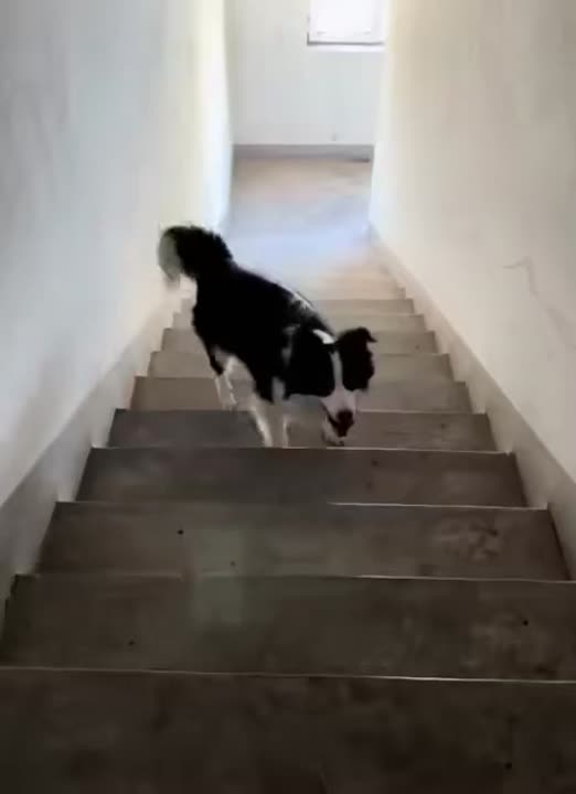 Christina Baca on LinkedIn: Situation Solved!! Christina Baca on LinkedIn: Situation Solved!!