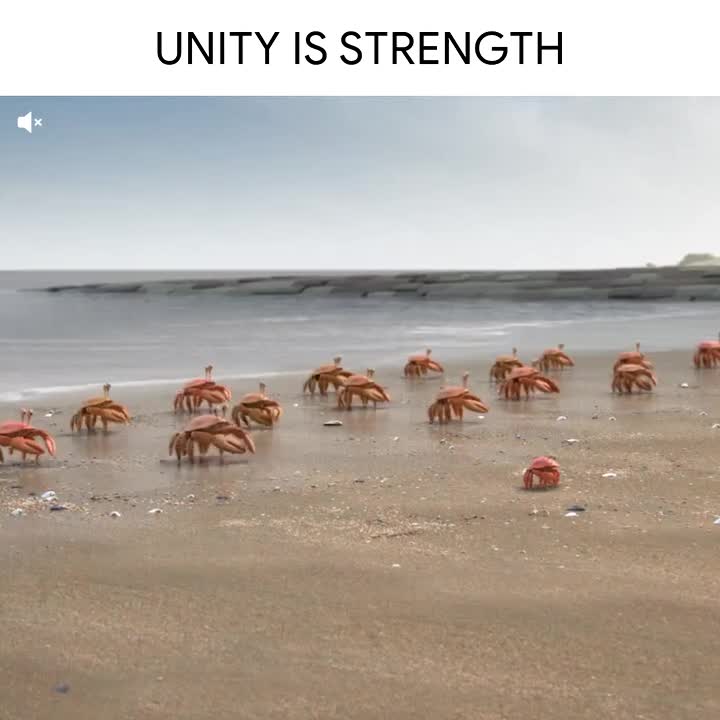 Ansh Bhatnagar on LinkedIn: #unityisstrength #collaboration #teamwork # ... Ansh Bhatnagar on LinkedIn: #unityisstrength #collaboration #teamwork # ...