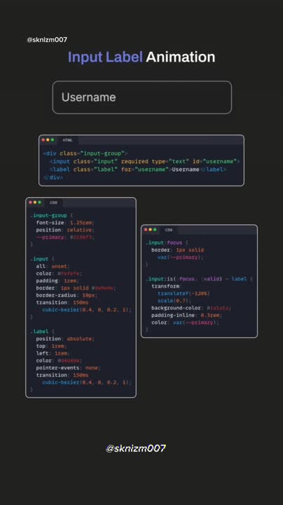 Sheikh Nizamuddin on LinkedIn: Input Label Animation | HTML, CSS & JS ... Sheikh Nizamuddin on LinkedIn: Input Label Animation | HTML, CSS & JS ...