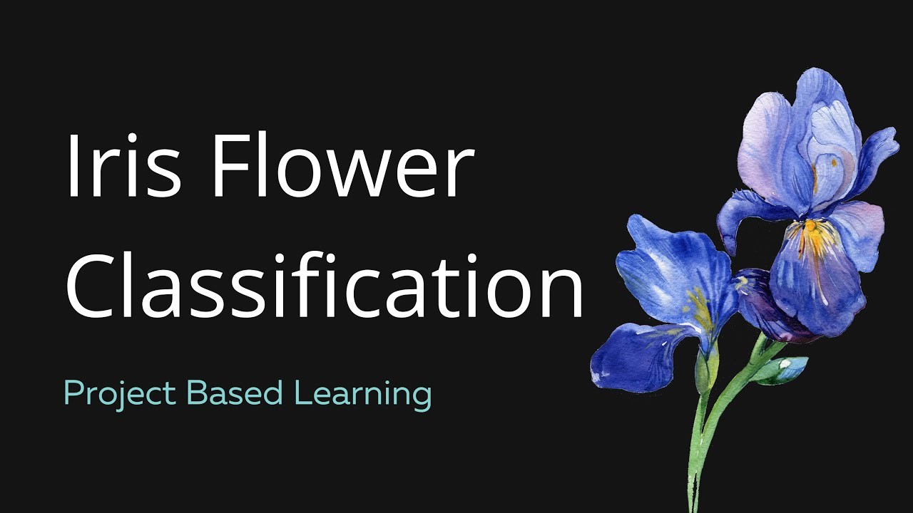 Completed Task 3: Iris Flower Classification Project | Momin Amaan ... Completed Task 3: Iris Flower Classification Project | Momin Amaan ...