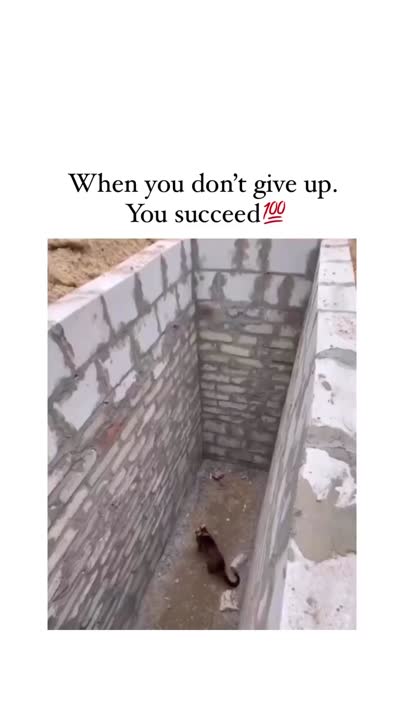Mukesh Naagar on LinkedIn: #success #mindset #helping #focus #business ... Mukesh Naagar on LinkedIn: #success #mindset #helping #focus #business ...