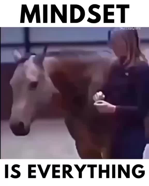 Kolawole Samuel on LinkedIn: How powerful is your mindset ? is your ... Kolawole Samuel on LinkedIn: How powerful is your mindset ? is your ...