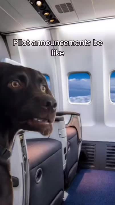 Dear Pilots, We just want to LAND SAFELY, please. We don't need too ... Dear Pilots, We just want to LAND SAFELY, please. We don't need too ...
