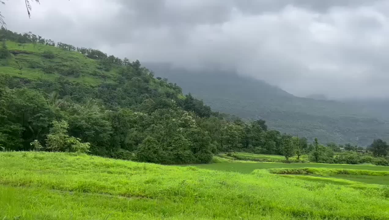 Saurabh Pawar on LinkedIn: #nature #karjat #peace #calm #love # ... Saurabh Pawar on LinkedIn: #nature #karjat #peace #calm #love # ...