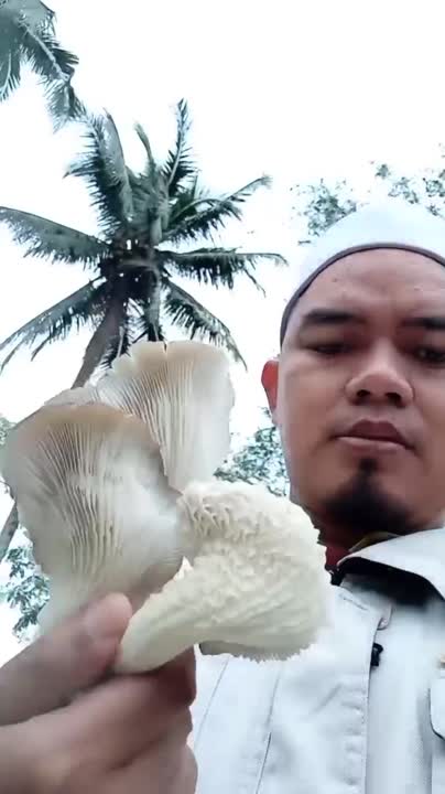 Sadam Husen Al-Basri Al-Jawy posted on LinkedIn Sadam Husen Al-Basri Al-Jawy posted on LinkedIn