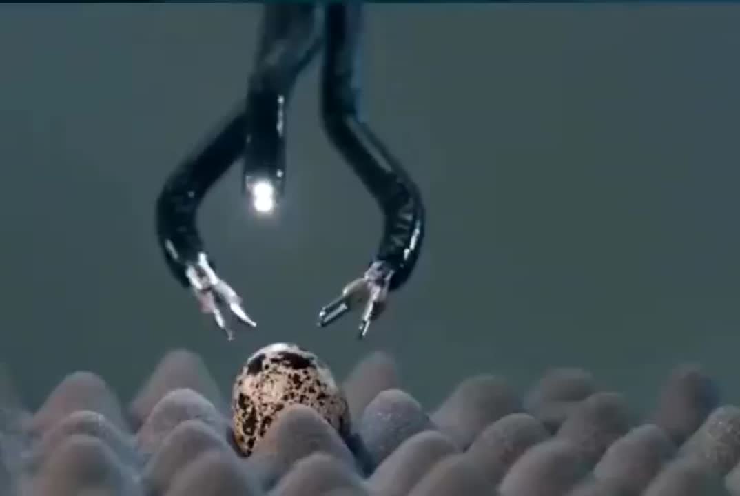 Samson O. Sanyaolu on LinkedIn: #robotic #5g #robot #surgery # ... Samson O. Sanyaolu on LinkedIn: #robotic #5g #robot #surgery # ...