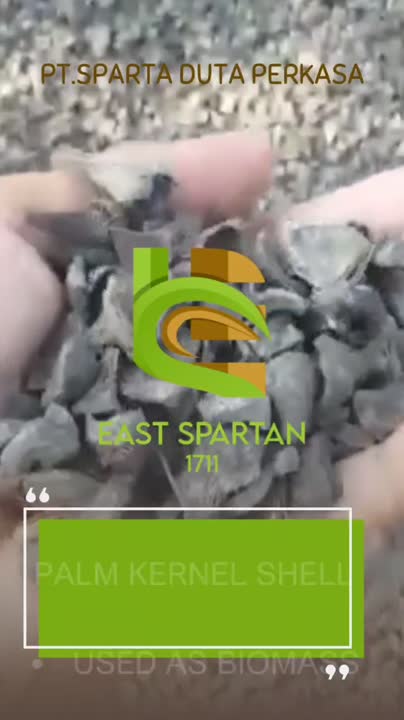 Promoting palm derivatives with PT Sparta Duta Perkasa | PT Sparta Duta ... Promoting palm derivatives with PT Sparta Duta Perkasa | PT Sparta Duta ...
