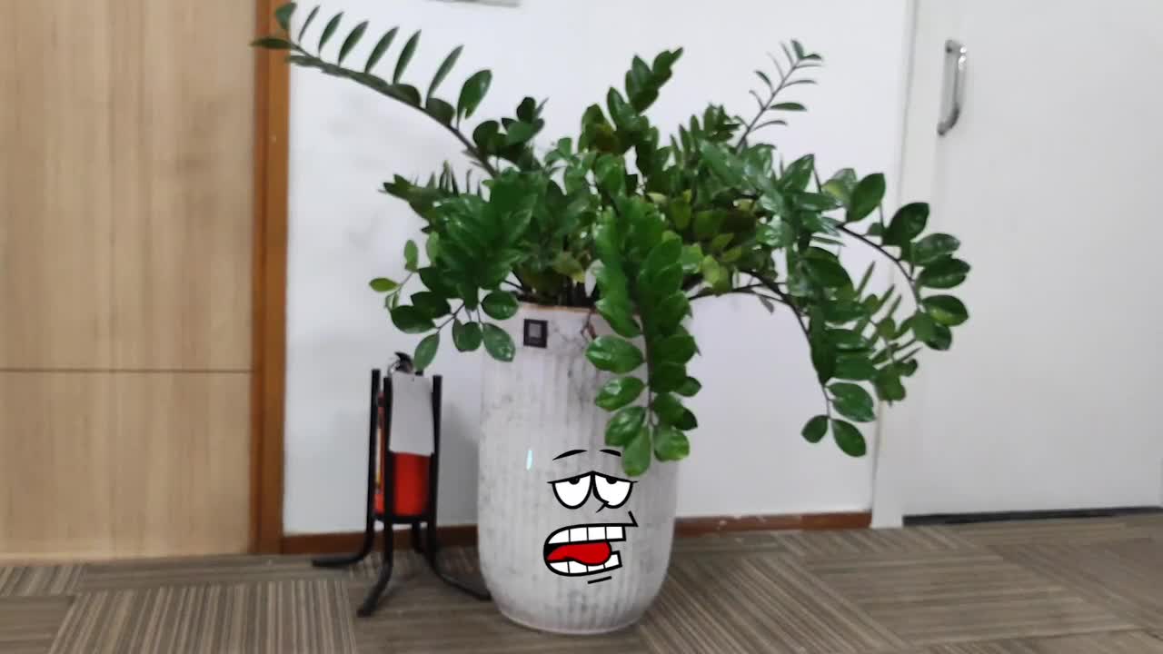 Senscript Technologies on LinkedIn: #environmentday Senscript Technologies on LinkedIn: #environmentday