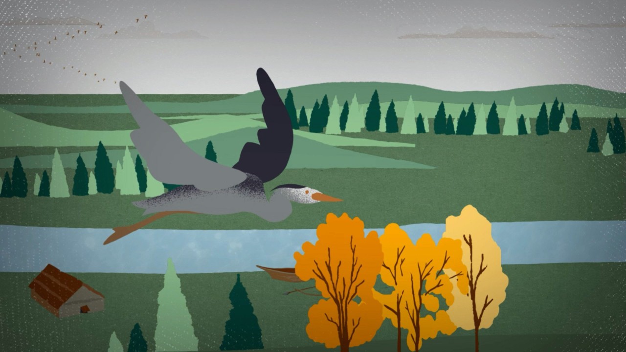 Removing barriers, opening up habitat | Sheepscot Creative Removing barriers, opening up habitat | Sheepscot Creative