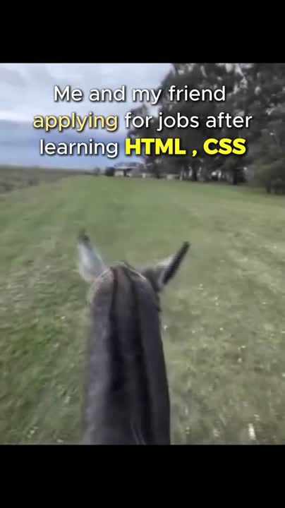 Noor Alam on LinkedIn: #30days30websites #100daysofcode #css # ... Noor Alam on LinkedIn: #30days30websites #100daysofcode #css # ...