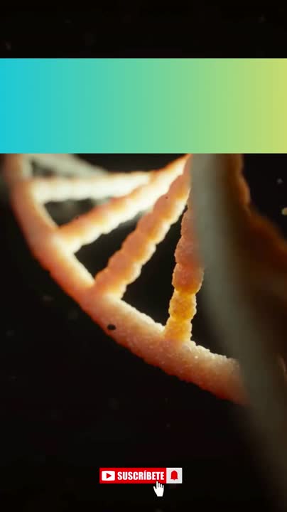 Molelixir Informatics on LinkedIn: #ngs #bioinformatics #genomics # ... Molelixir Informatics on LinkedIn: #ngs #bioinformatics #genomics # ...