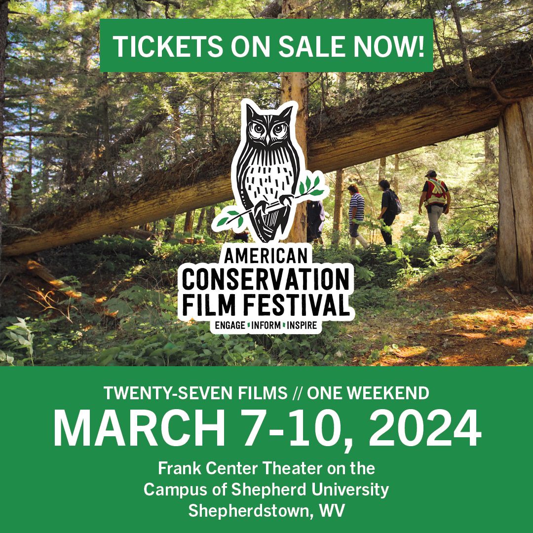 Dave Lavender on LinkedIn: #yeswv #filmfests #filmfestivals #indiefilms Dave Lavender on LinkedIn: #yeswv #filmfests #filmfestivals #indiefilms
