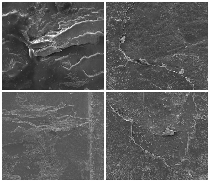 RJ Lee Group on LinkedIn: #micrography #sem RJ Lee Group on LinkedIn: #micrography #sem