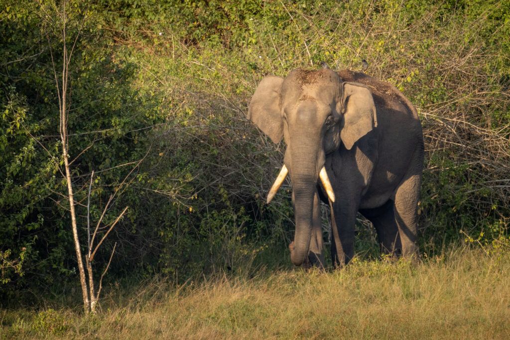 MinervaDB on LinkedIn: How to Implement Parallel Queries in PostgreSQL ... MinervaDB on LinkedIn: How to Implement Parallel Queries in PostgreSQL ...