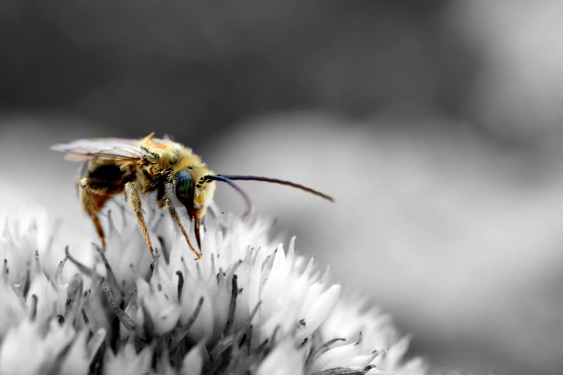 MinervaDB on LinkedIn: Boosting MySQL InnoDB I/O Performance MinervaDB on LinkedIn: Boosting MySQL InnoDB I/O Performance