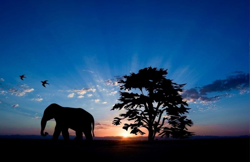 United States PostgreSQL Association on LinkedIn: PgUS United States PostgreSQL Association on LinkedIn: PgUS