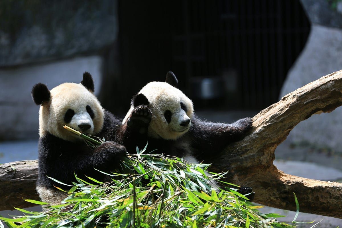 Towards Data Science on LinkedIn: Comparing Pandas and (%%SQL) for Data ... Towards Data Science on LinkedIn: Comparing Pandas and (%%SQL) for Data ...