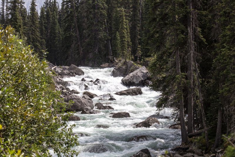 Environmental Law Centre (ELC) on LinkedIn: Water Law in Alberta: A ... Environmental Law Centre (ELC) on LinkedIn: Water Law in Alberta: A ...