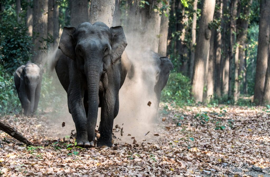 MinervaDB on LinkedIn: Implement RESTful CRUD API using PostgreSQL and ... MinervaDB on LinkedIn: Implement RESTful CRUD API using PostgreSQL and ...