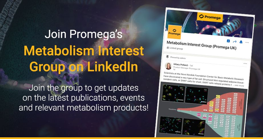Promega UK on LinkedIn: #labchat #phdchat #cellmetabolism Promega UK on LinkedIn: #labchat #phdchat #cellmetabolism